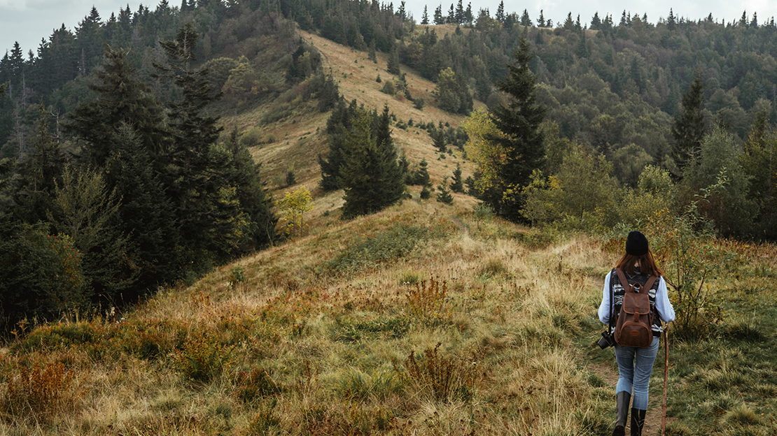 WALKING IN BEAUTY | Beyond Human Stories