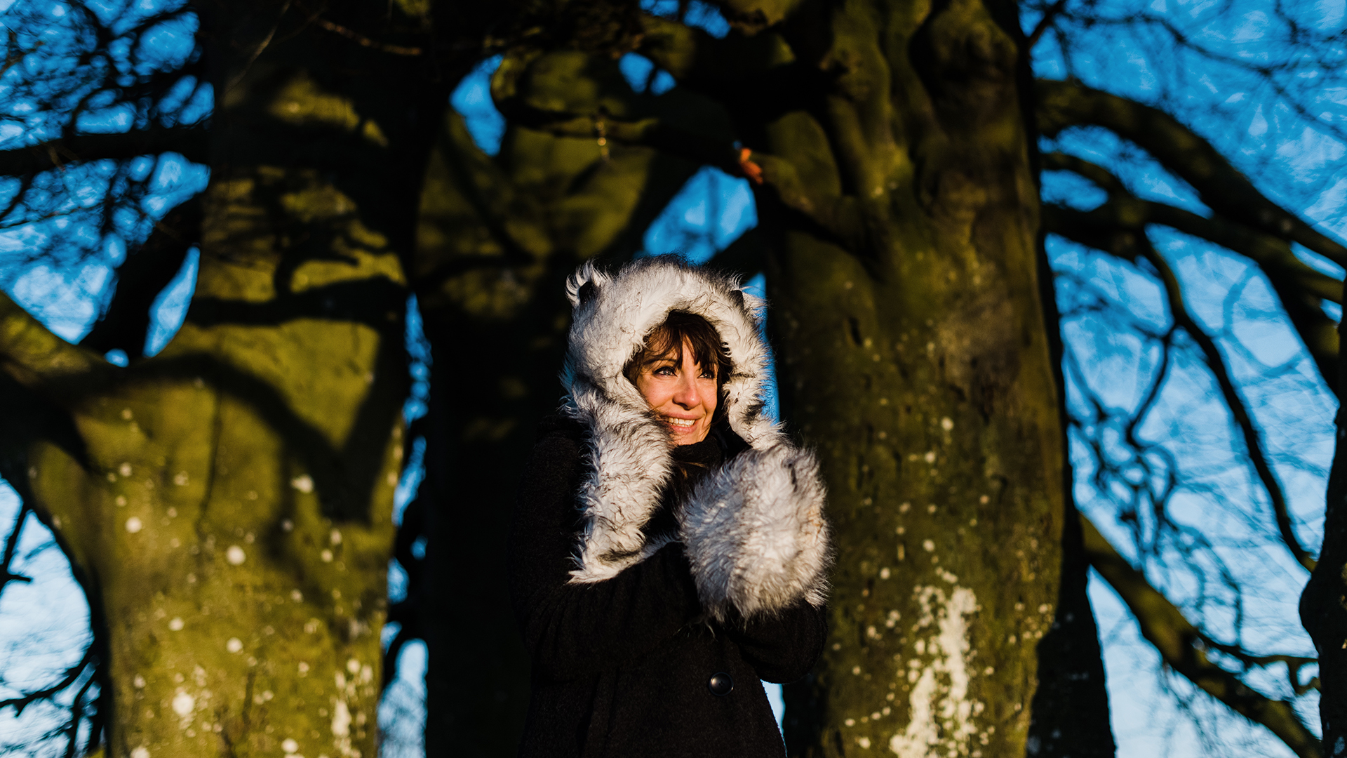 THE POWER OF HIBERNATION | Beyond Human Stories