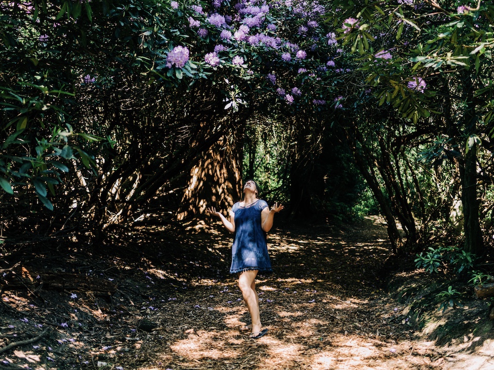 THE INEVITABLE PATH | Beyond Human Stories